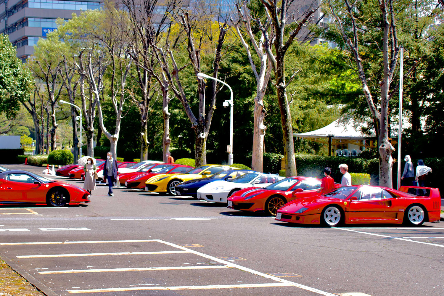 Ferrari Club of Japan / フェラーリ・クラブ・オブ・ジャパン